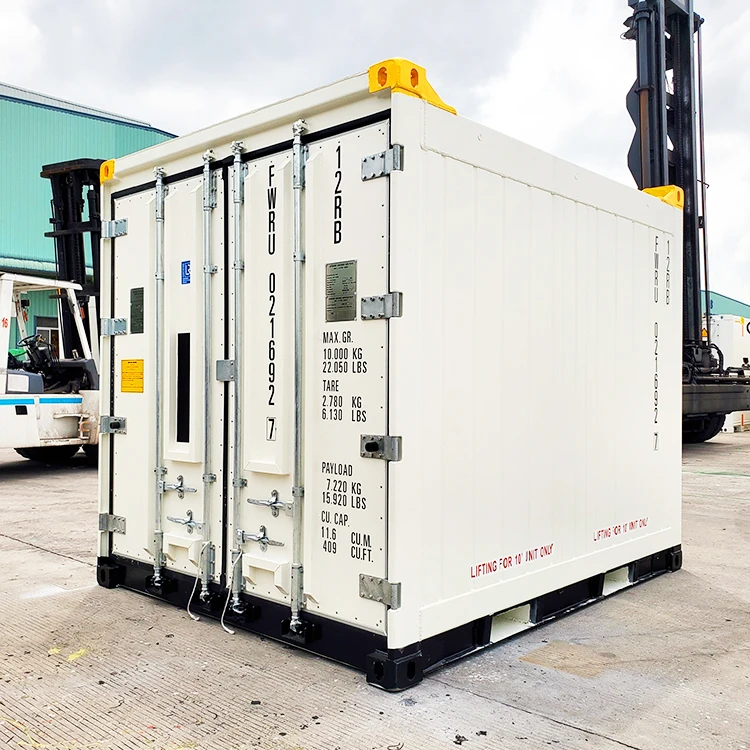 10 Feet Offshore Freezing Shipping Container - 12.5 CBM