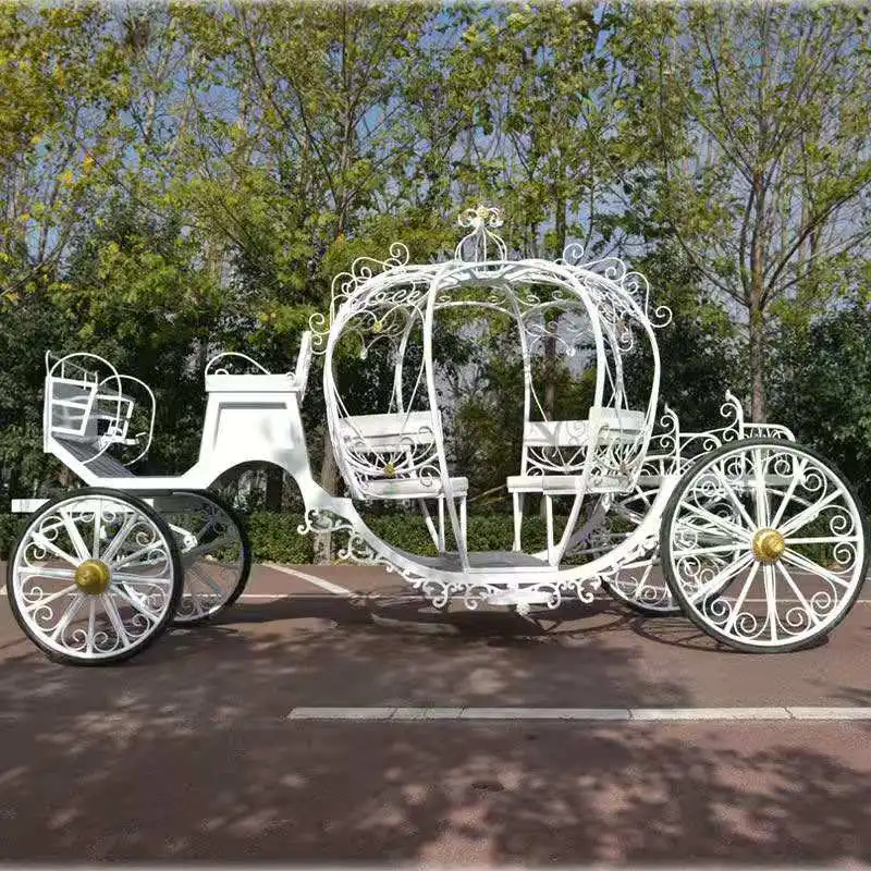 Sightseeing White Wedding Horse Carriage Tourist Cart Wagon Bridal ...
