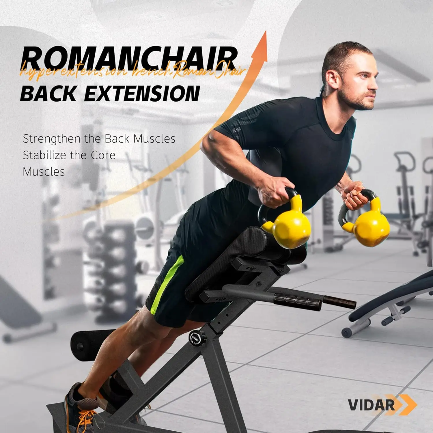 Roman Chair Back Extension Machine Lower Back Bench Adjustable Exercise ...