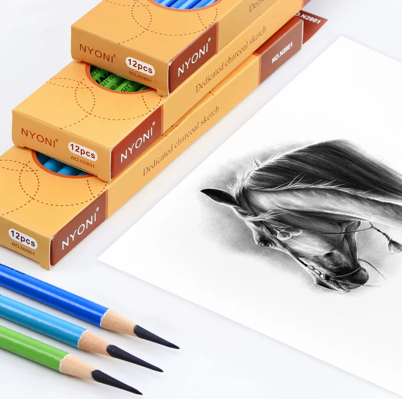 Professional Nyoni Charcoal Pencils Set - 12 Pieces Soft, Medium & Hard ...