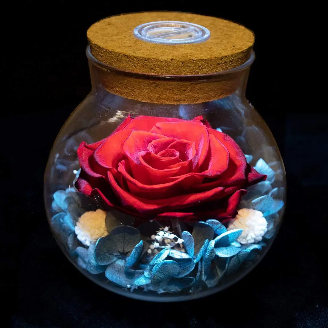 Tiktok Hot Preserved Real Roses With Colorful Mood Light Wishing Bottle ...
