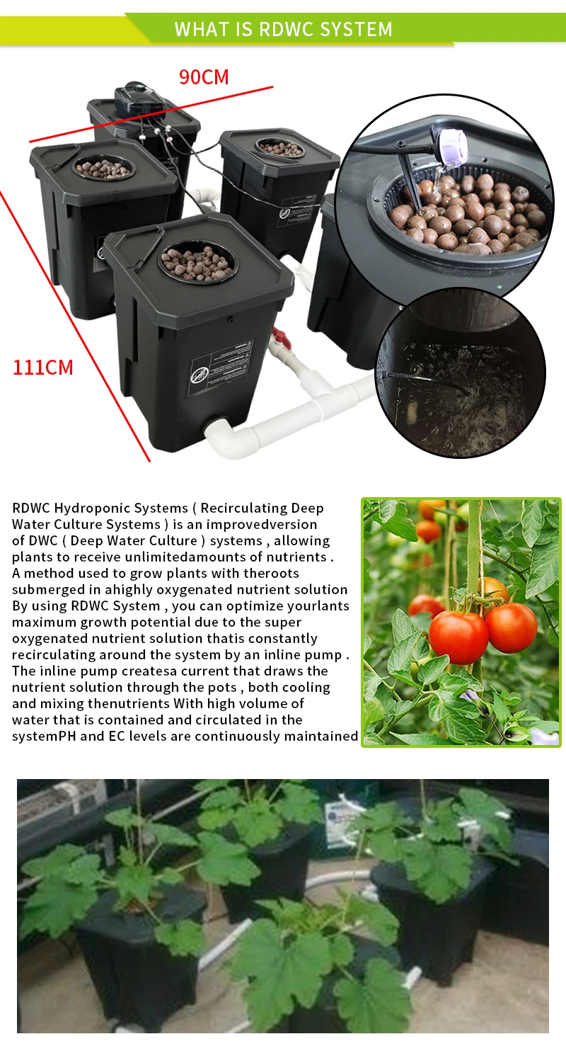 4 Buckets 27l Plant Hydroponics System Rdwc Clone Bucket Drip ...