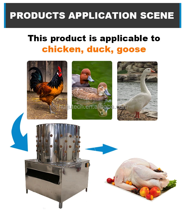 Small Quail Bird Plucker Machine/ Pigeon Bird Plucking Machine/used ...