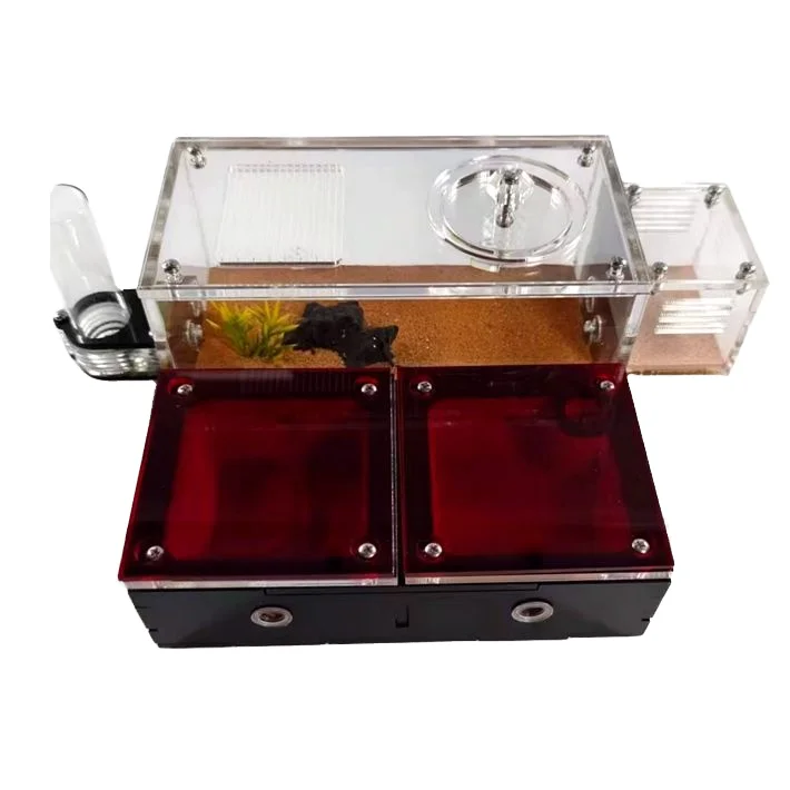 Infinitely Expandable Single Water Tower Eco-Friendly Pet Ant Queen Breeding Workshop with Ant ...