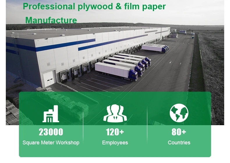 Melamine Paper Roll for MDF Laminating - Durable & Stylish