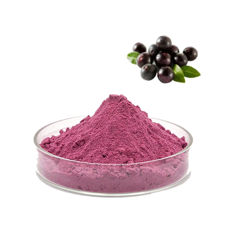 Natural Organic Pure Acai Berry Extract Powder - Health Food
