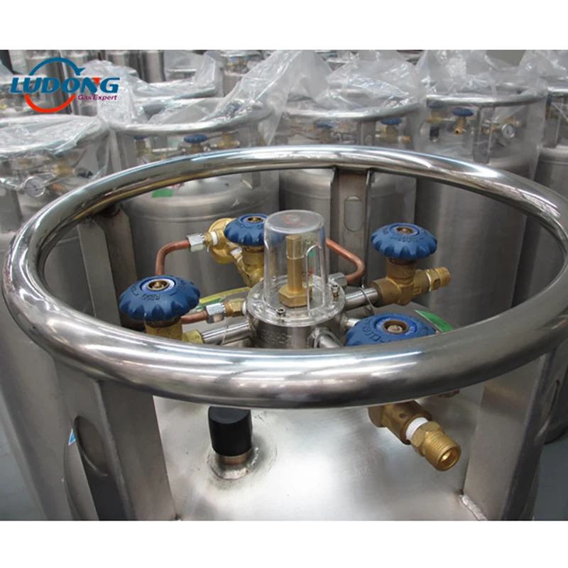 175l 195l 210l 500l Cryogenic Insulated Dewar Cylinder For Liquid ...