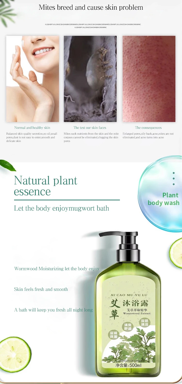 Wormwood Shovulvae Anal Pruritus Mite Acne Psoriasis Urticaria Urticaria Treatment Best Body ...