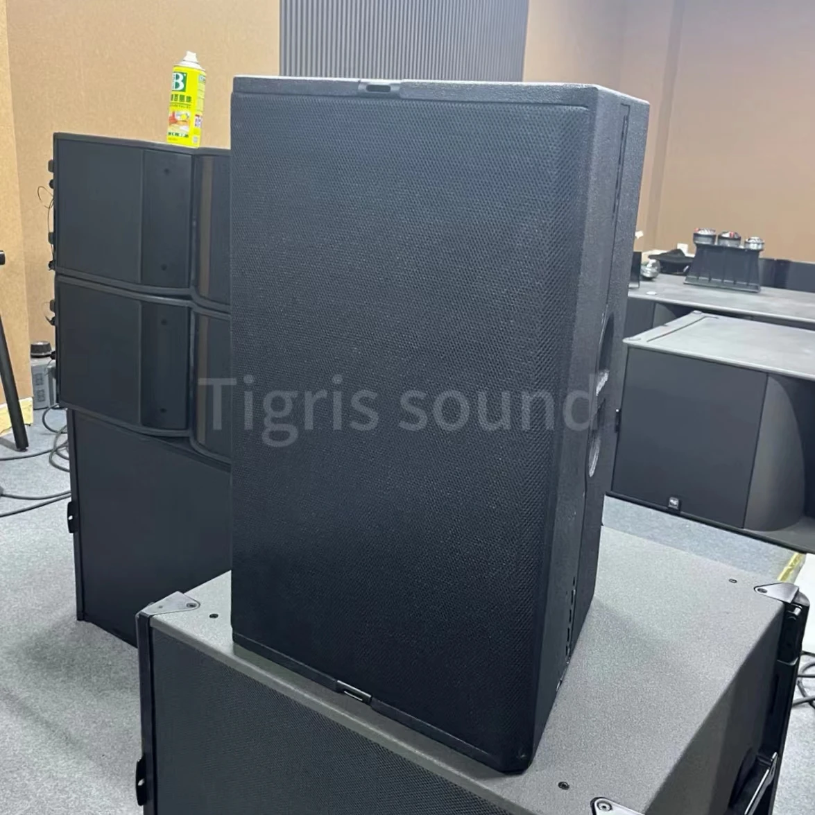 T24N Dual 12'' Line Array Speakers - Powerful Pro Audio