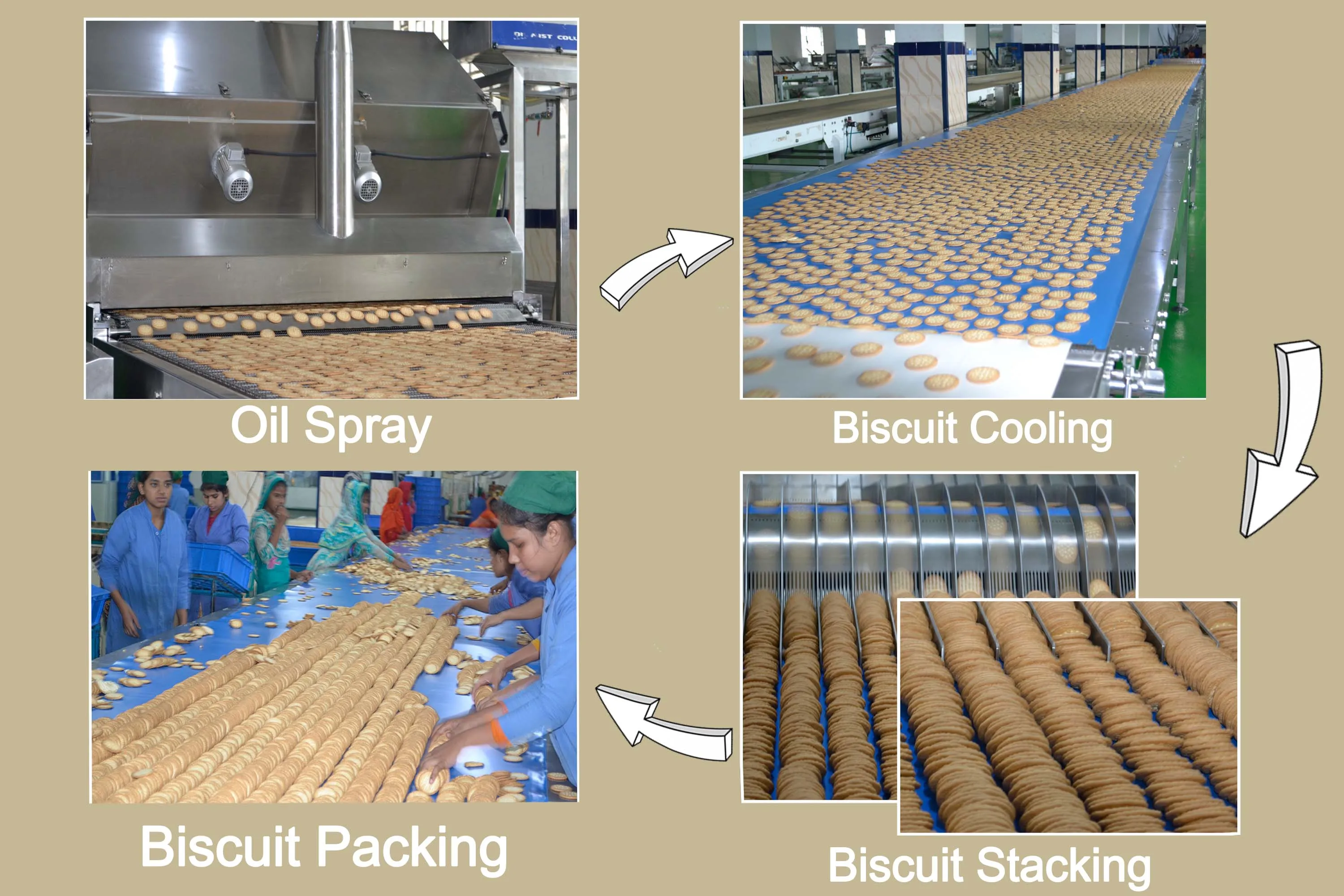 Production Line Machine Cookie Salted Biscuits Making Machine| Alibaba.com