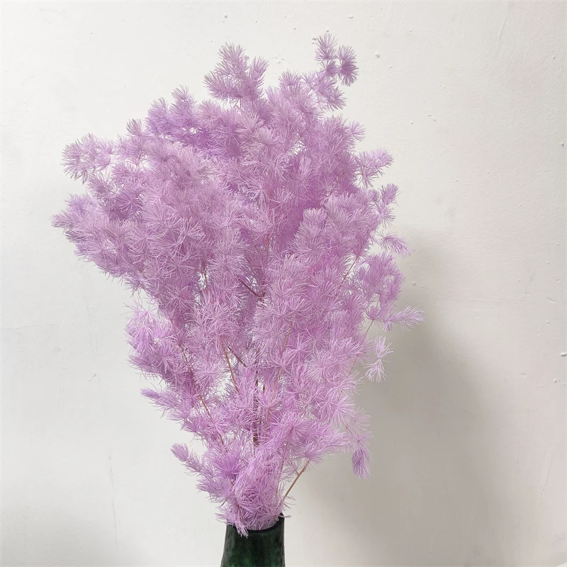 High Quality Natural Ming Fern Preserved Asparagus Myriocladus Flowers ...