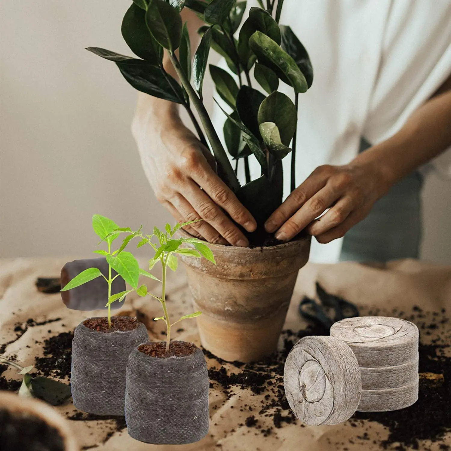 Compressed Seed Starter Germination Coco Coconut Coir Soil Disks