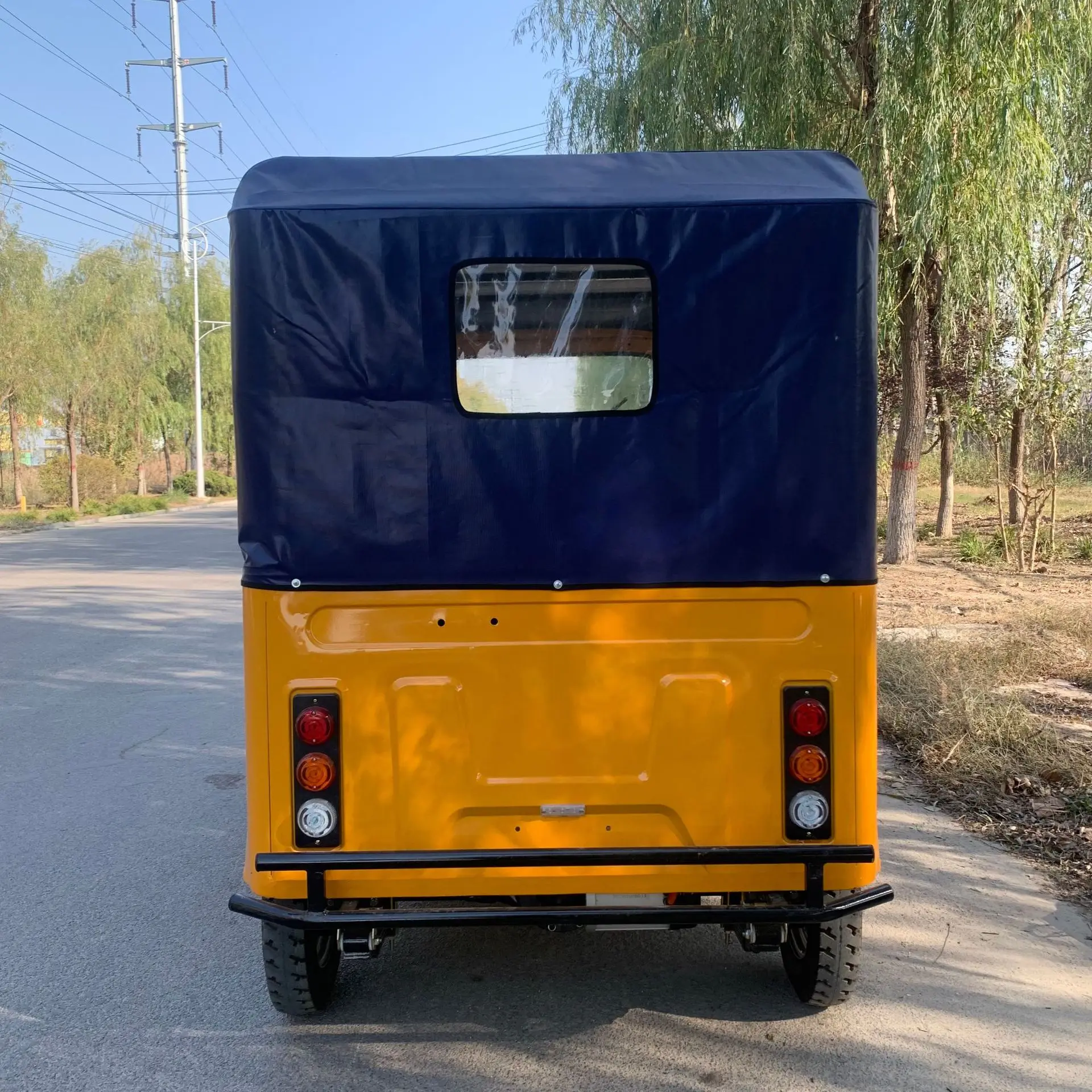 New Arrival 1000W Tvs Motor Tricycle Common for Passenger 3 Wheel Bike ...