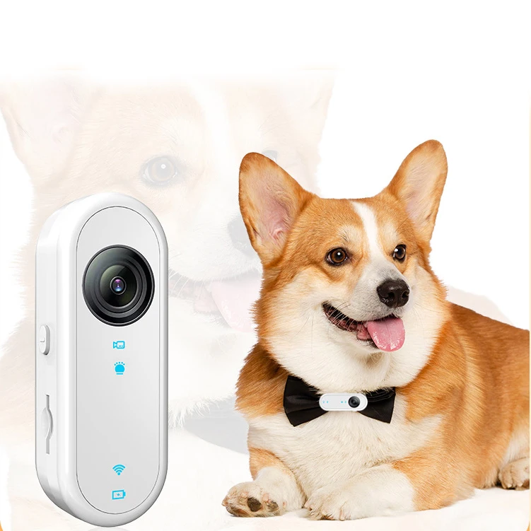 Outdoor Screen Video Recording Wireless Waterproof Action Camera Pet ...