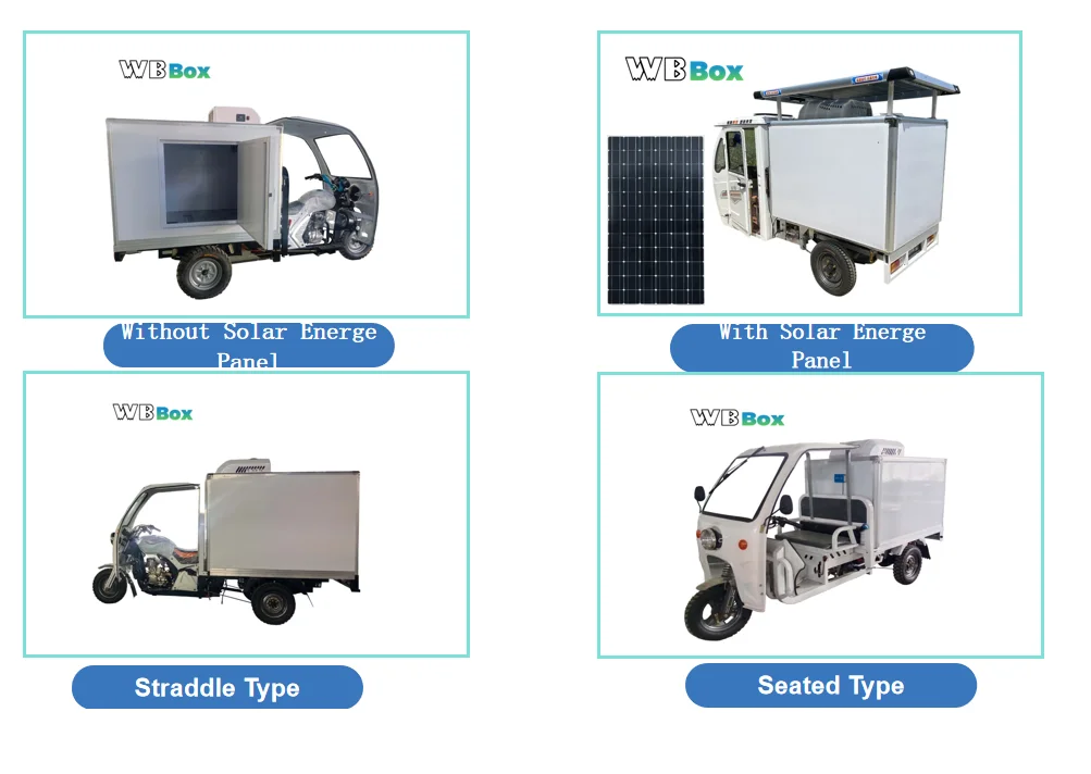 Three-Wheel Electric Cargo Box Tricycle 60v Powered Reefer Cooling ...