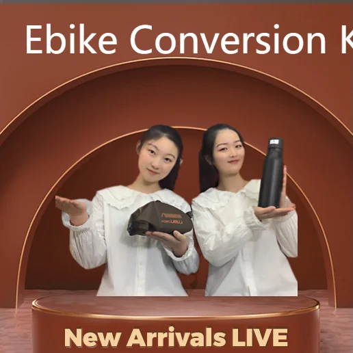 Lvbu New Ebike Conversion Kit With Latest Design Product Show Stream ...