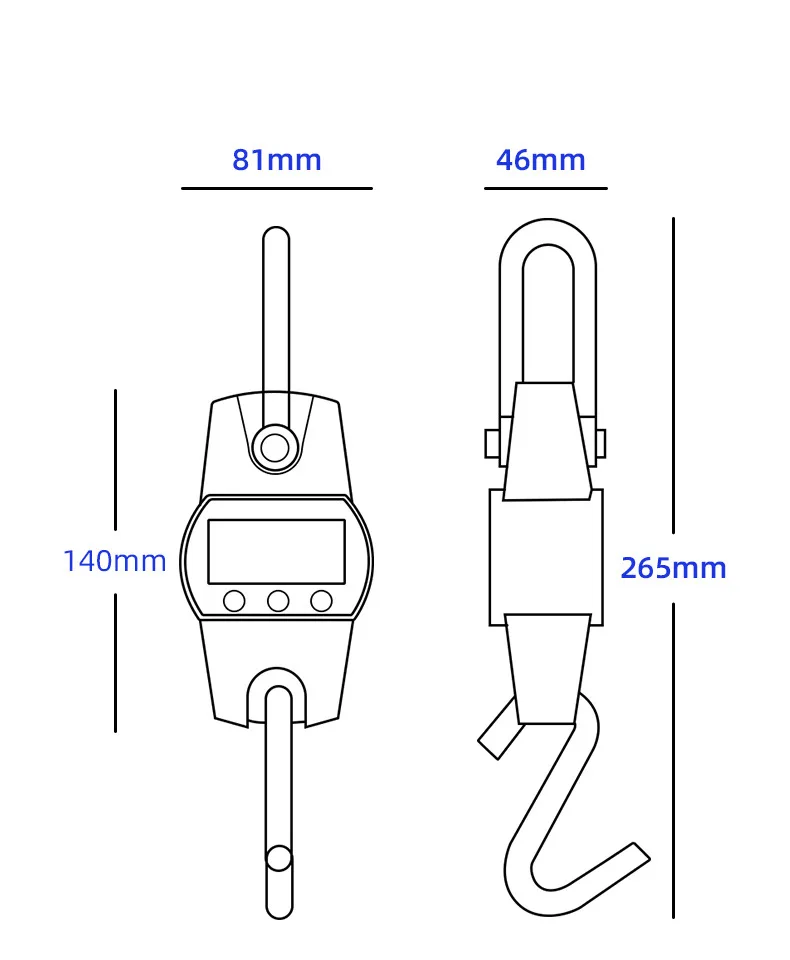 Factory Hook Scale 300kg 500kg Electronic Weight Hook Is a Portable ...