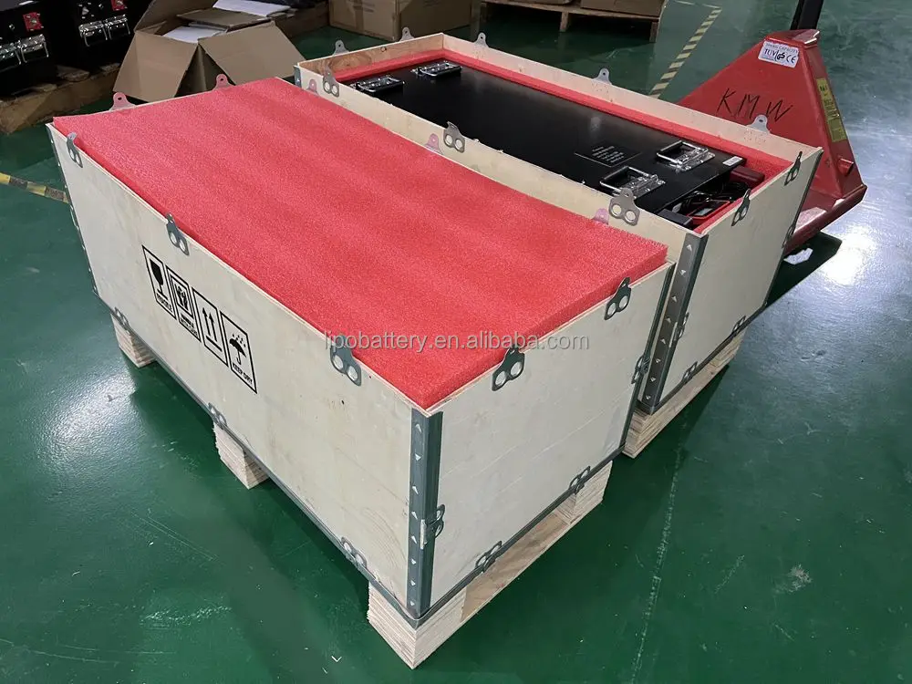 Large Capacity 24 Volt Lithium Ion Lifepo4 Battery Pack