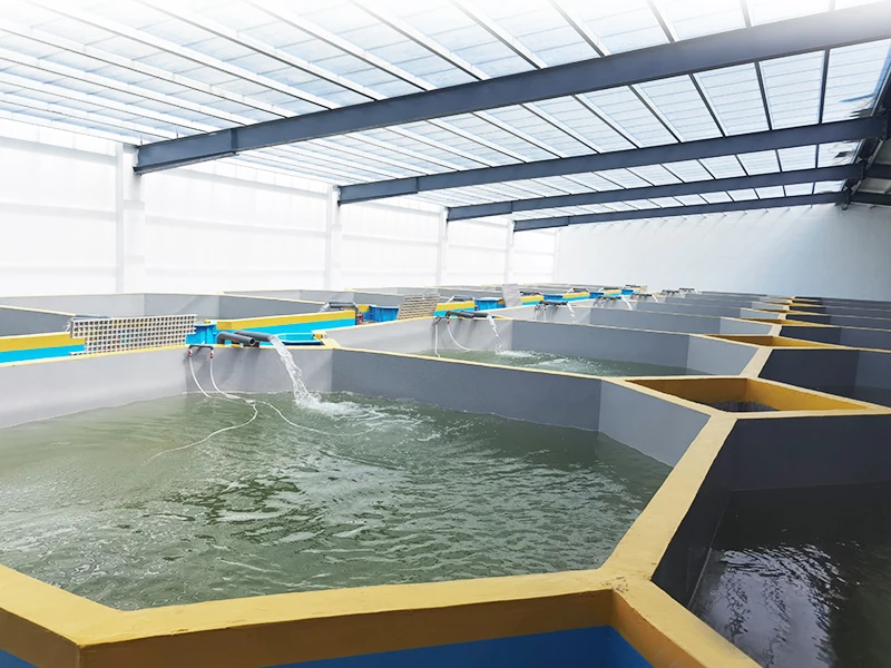 Indoor Recirculating Aquaculture Equipment for Crab Farming