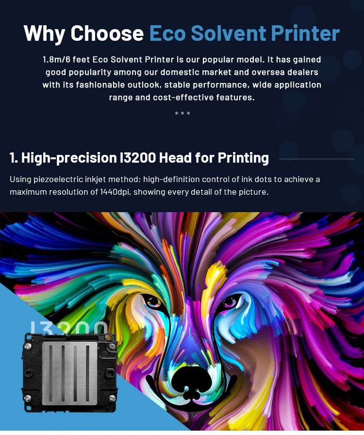 Eco Solvent Printer - High Productivity for Poster Printing