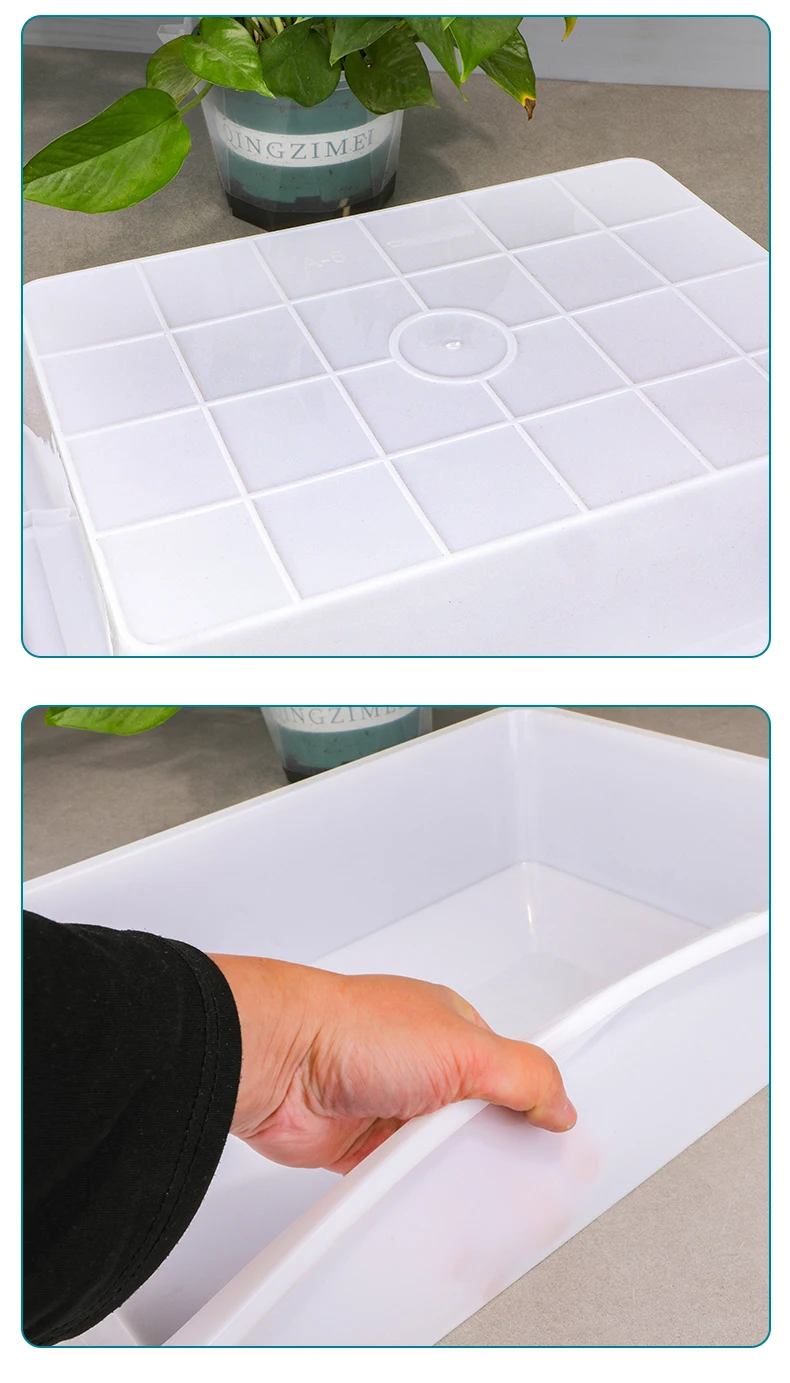 White Rectangular Plastic Storage Tray Fruit And Vegetable Uncovered ...