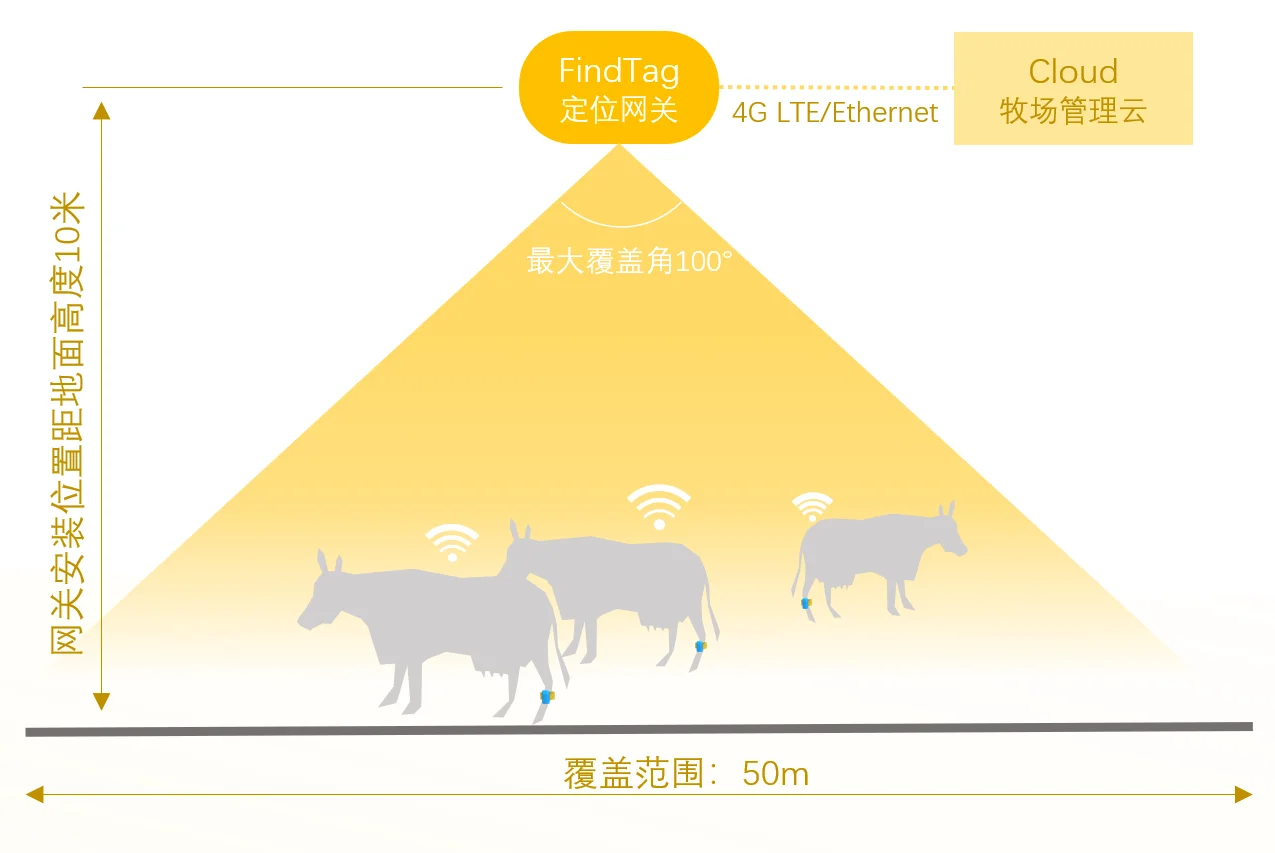 Livestocktool VHF Active Ear Tags - Efficient Id Management