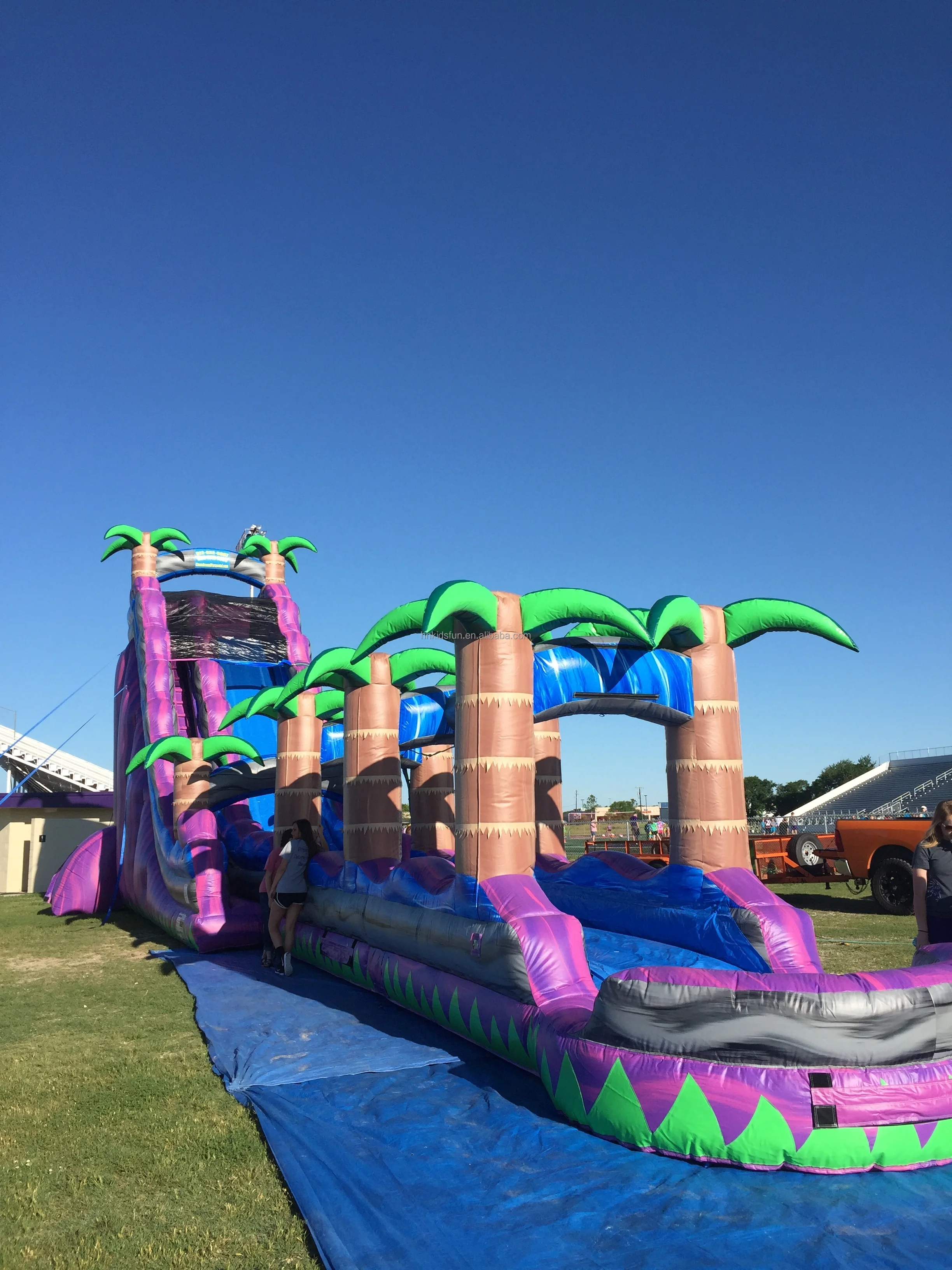 Crush Plunge Tropical Dual Lane Water Slide Inflatable Waterslides ...