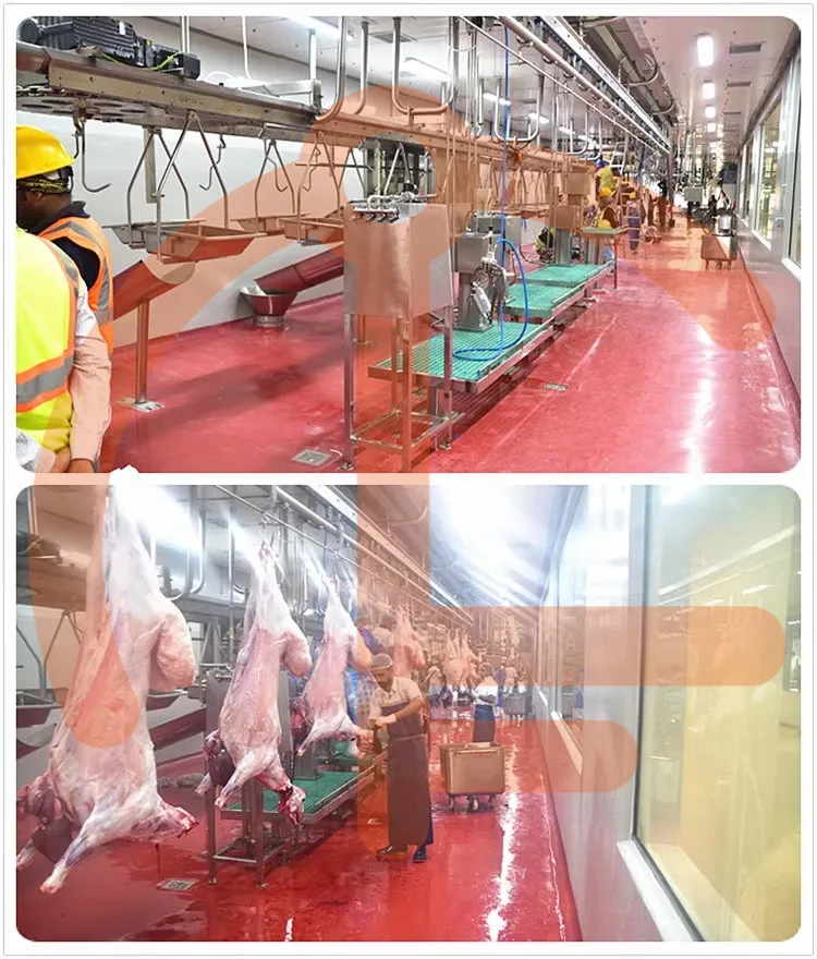 Efficient Sheep Slaughtering Line with Meat Processing Machinery