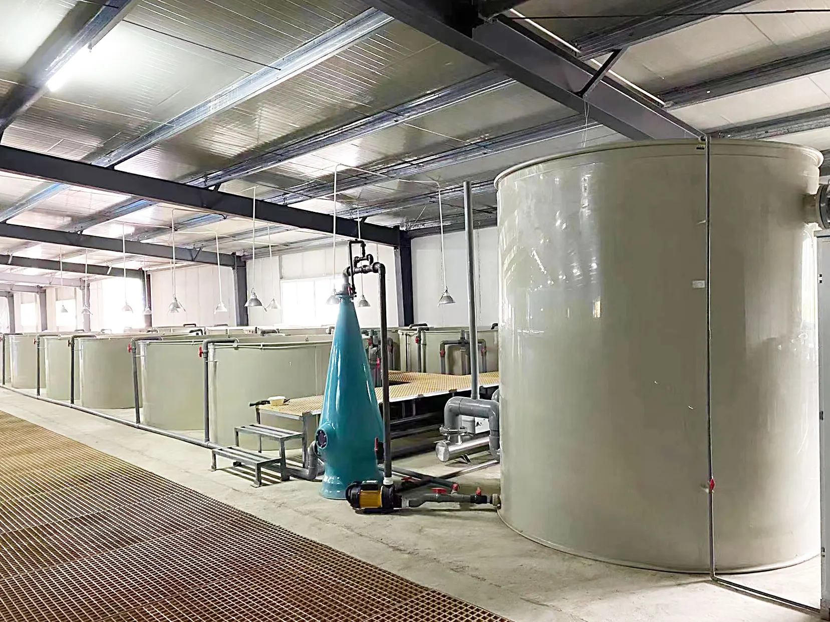 Indoor RAS Fish Farm Aquaculture Equipment - Oxygen Cones