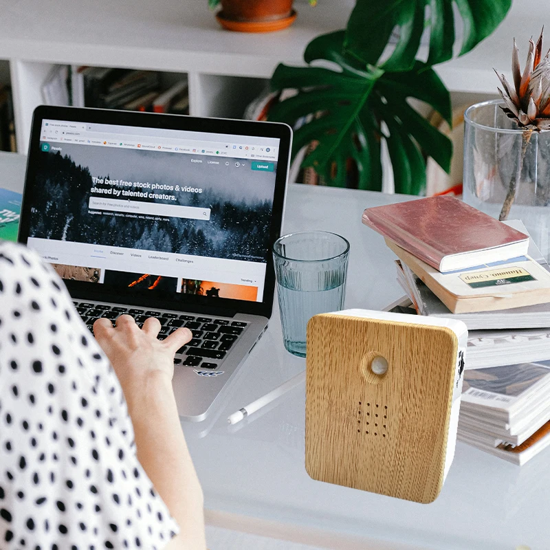 Outdoor Garden Yard Imitate Birdsong Bird Wild Bird Music Box Outside ...