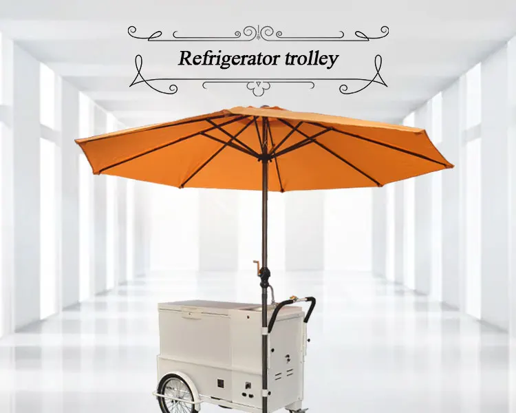 Mini Ice Cream Cart with Umbrella and Refrigerator