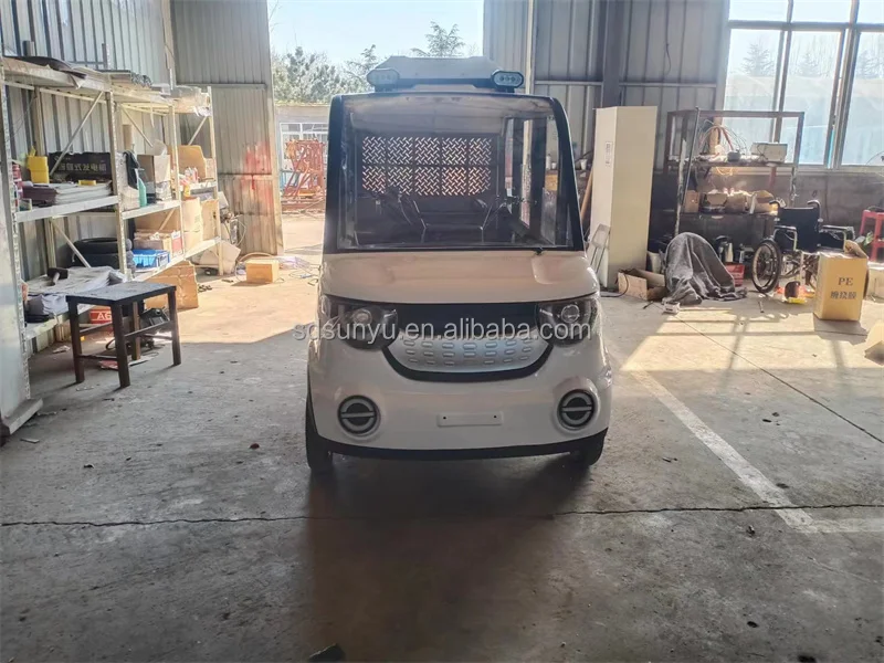 Cargo Trike - Mobility and Convenience for Disabled Persons