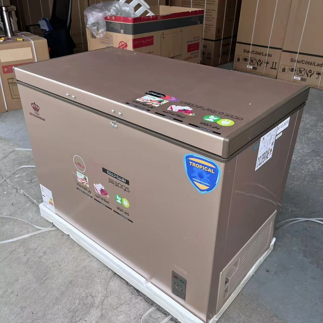 Commercial Horizontal Freezer - 300L Capacity & Double Doors