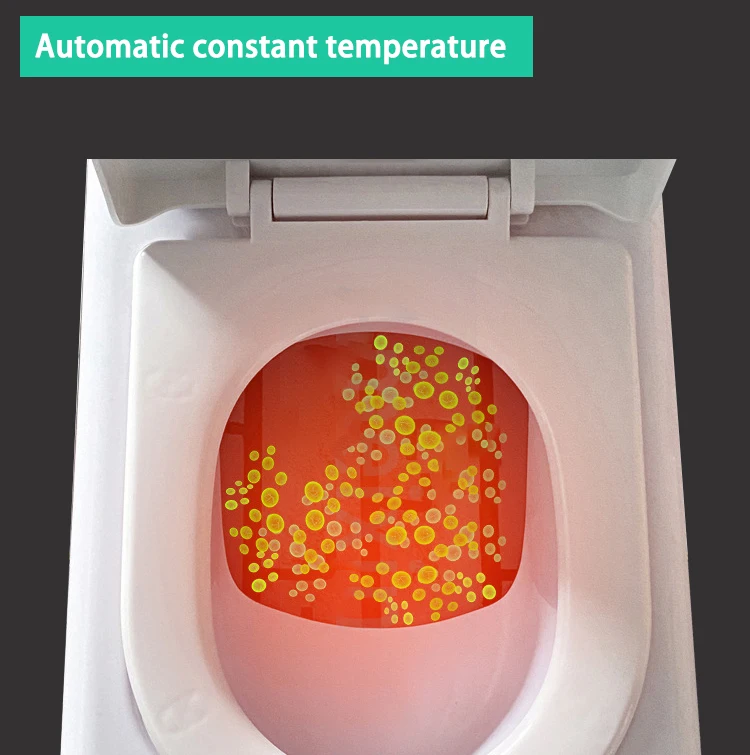 Waterless Composting Toilets - Biodegradable & Smart