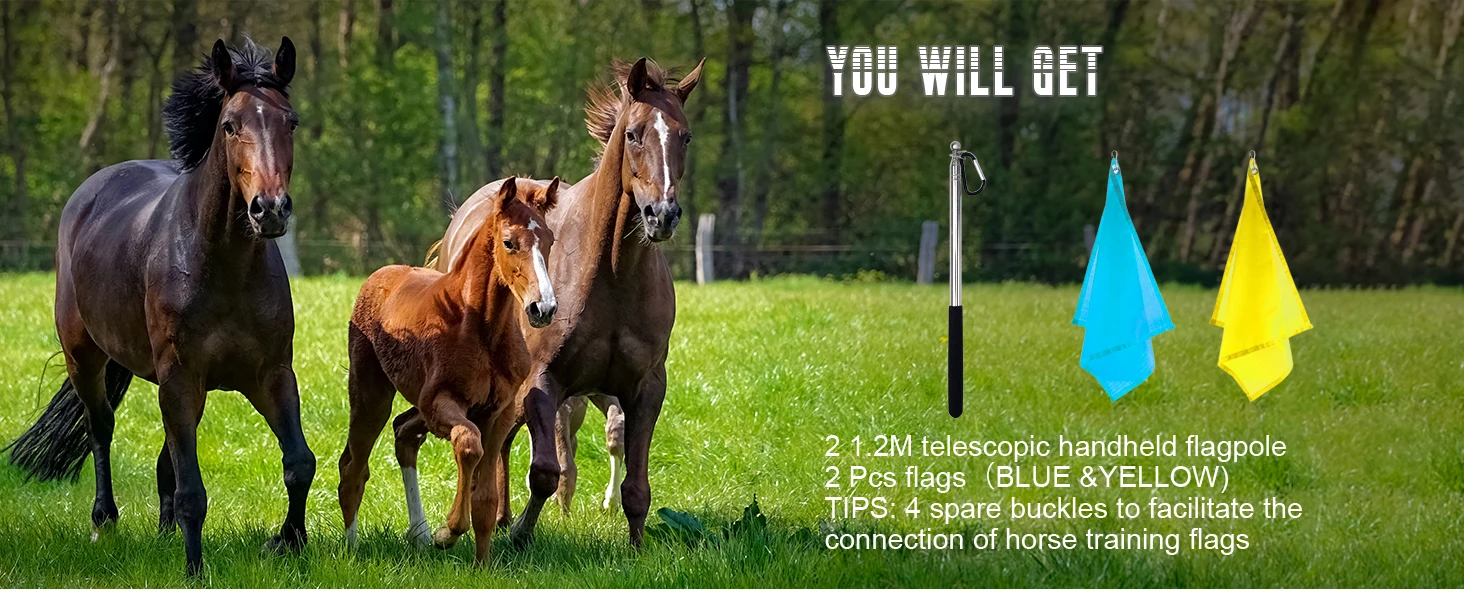 Telescopic Hand Flagpoles Stainless Steel Retractable Tour Guide Flag ...