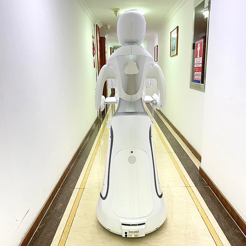 Humanoid Robot for Sale - Smart Food Serving Robot