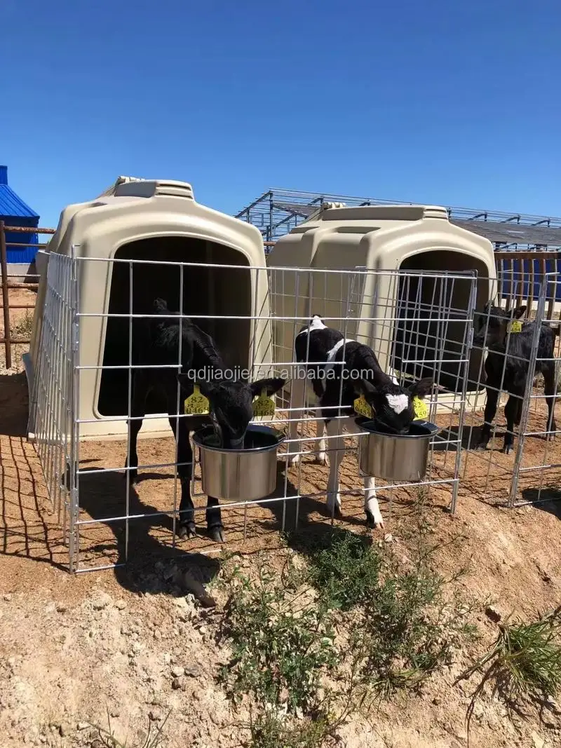 Livestock Reinforced Calf Cages - Durable & Customizable