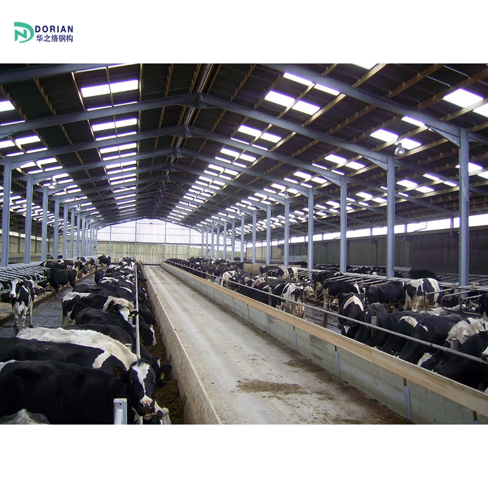 Light Frame Structure Steel Pig House Construction Farm Design ...