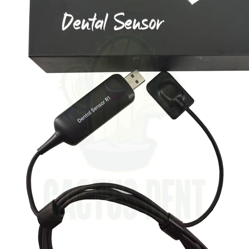 High Quality Dental X-Ray Oral Sensors R sensor R1 / Dental Digital X Ray Sensor Intraoral ...