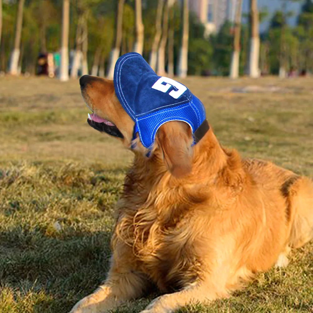 cap for dog