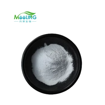 Wholesale Bulk White Willow Bark Extract-salicin Powder Cas 138-52-3 ...