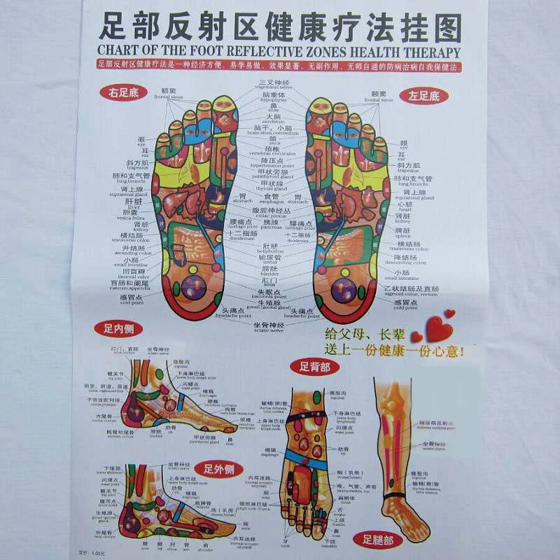 Chinese Medical Acupuncture Charts Points Acupuncture Wall Map Human ...