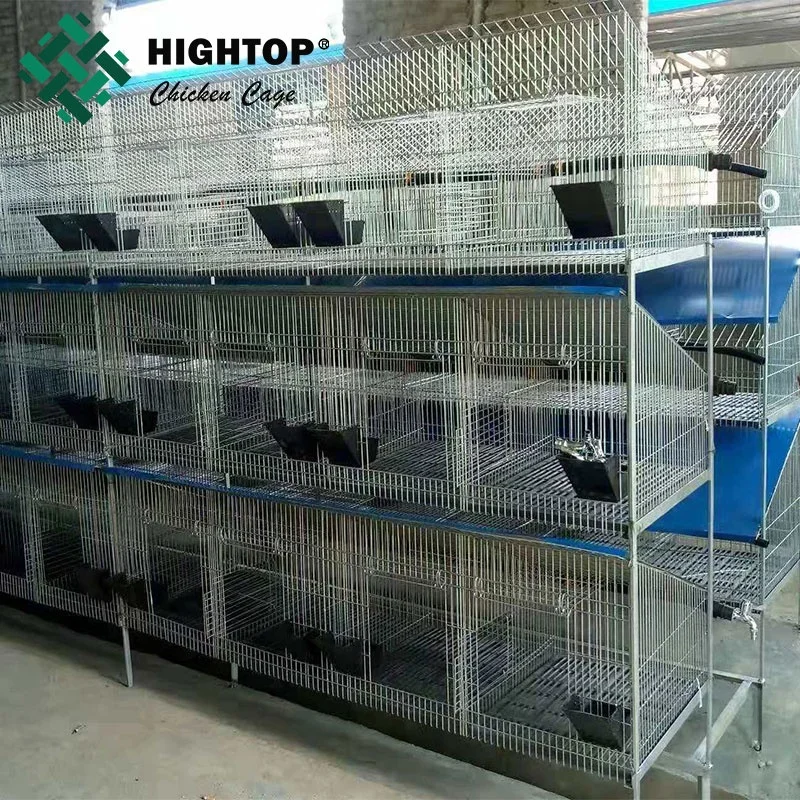 3 Tier Industrial Wire Mesh Rabbit Cage with Accessories for Sale in ...