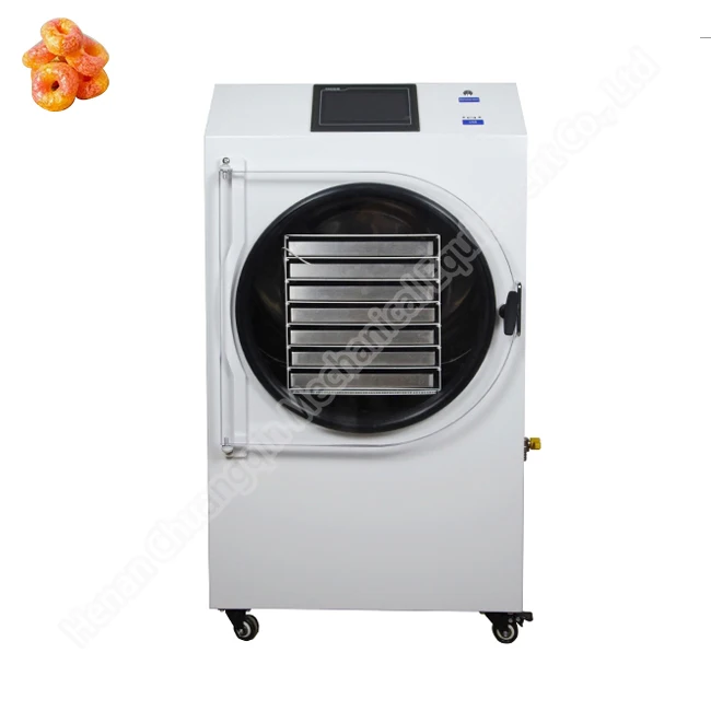 Vegetable freeze drying machine 100u lyophilized powder wrinkle ...