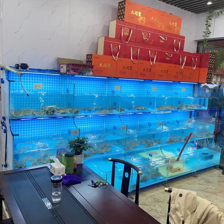 Live Lobster Farming Tank - Sustainable Fish Tank Solutions