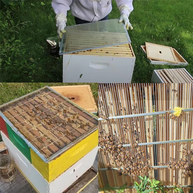 8 Frame Steel Metal-Bound Queen Excluder Queen Bee Excluder for ...