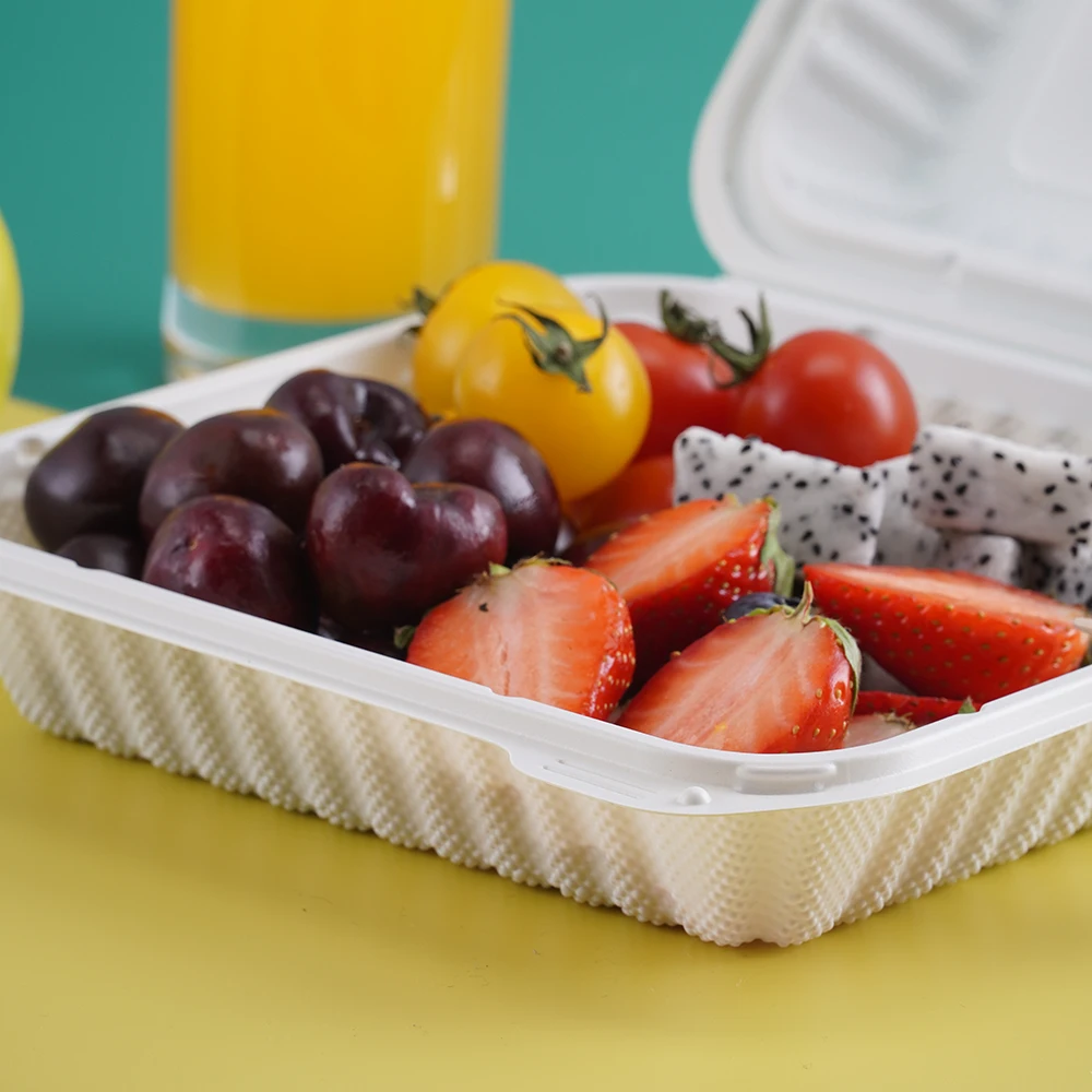 Disposable Plastic Takeaway Container Clamshell To Go Box Eco Friendly ...
