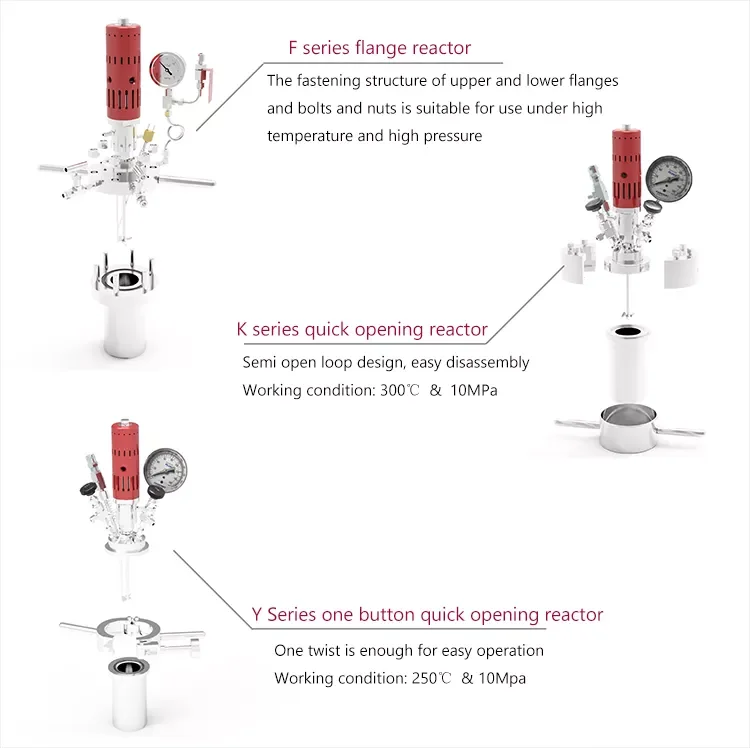 200ml Magnetic Stirrer High Pressure Laboratory Chemical Reactor Parr ...