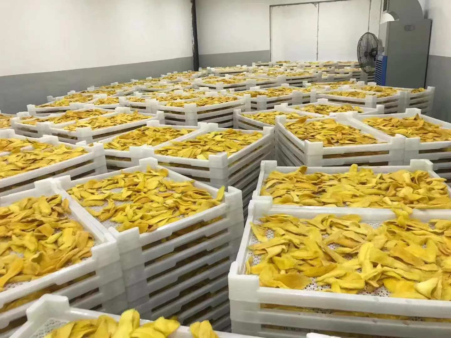 High Quality Dry Soft Mango Slices Dehydrated Mango Tropical Fruit ...