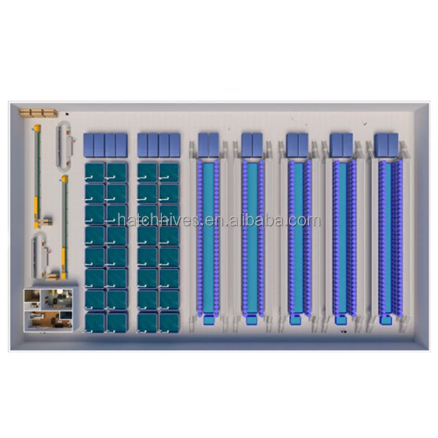 High Quality Industrial Indoor Tilapia Fish Farm Equipment Ras ...